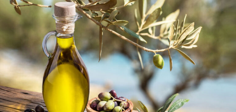 Top Benefits of Ozonated Olive Oil – VlakenBerg & OL+ZONE Healing Oil